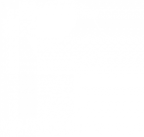 Whiner Beer Company | The Mayor of Old Town